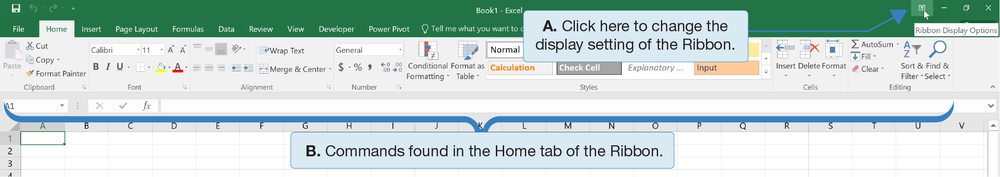 FlatWorld Online Reader
